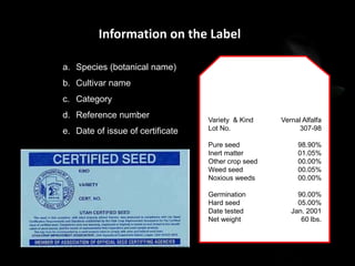 Classes of Seeds | PPTX