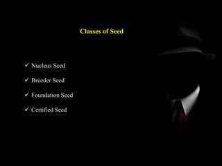 Classes of Seeds | PPTX