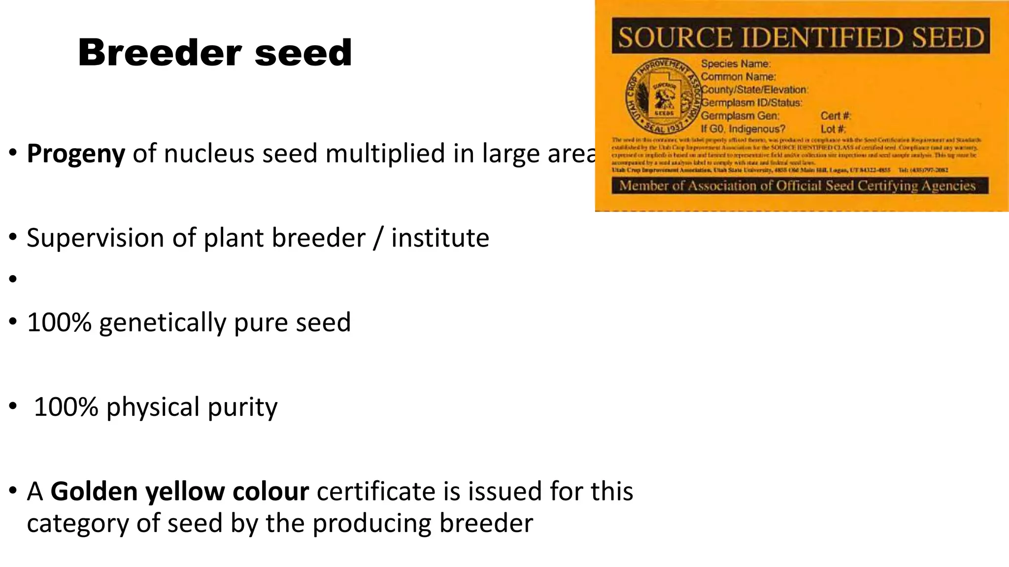 Seed classes veg seed prod | PPTX