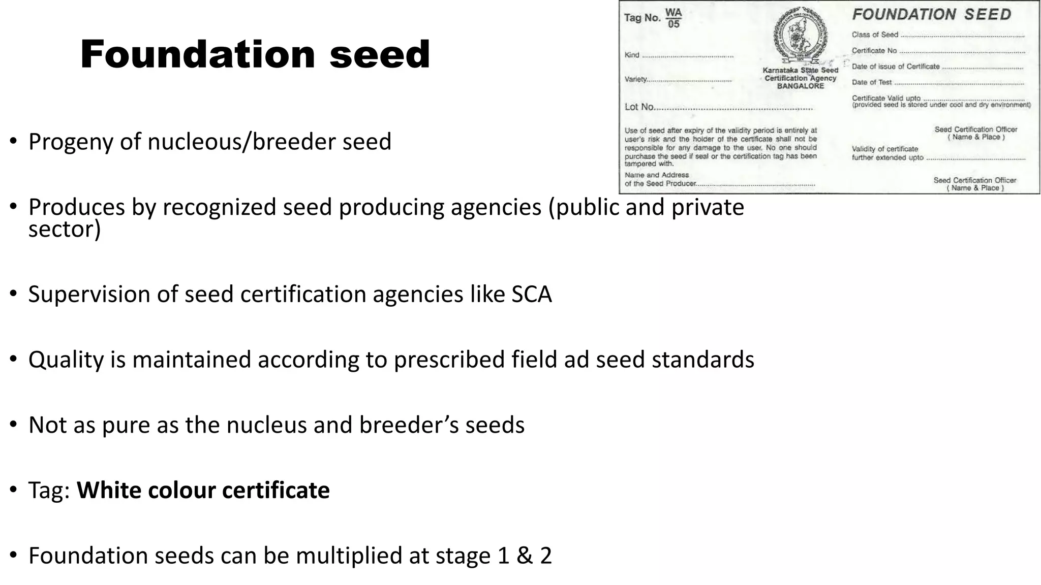 Seed classes veg seed prod | PPTX