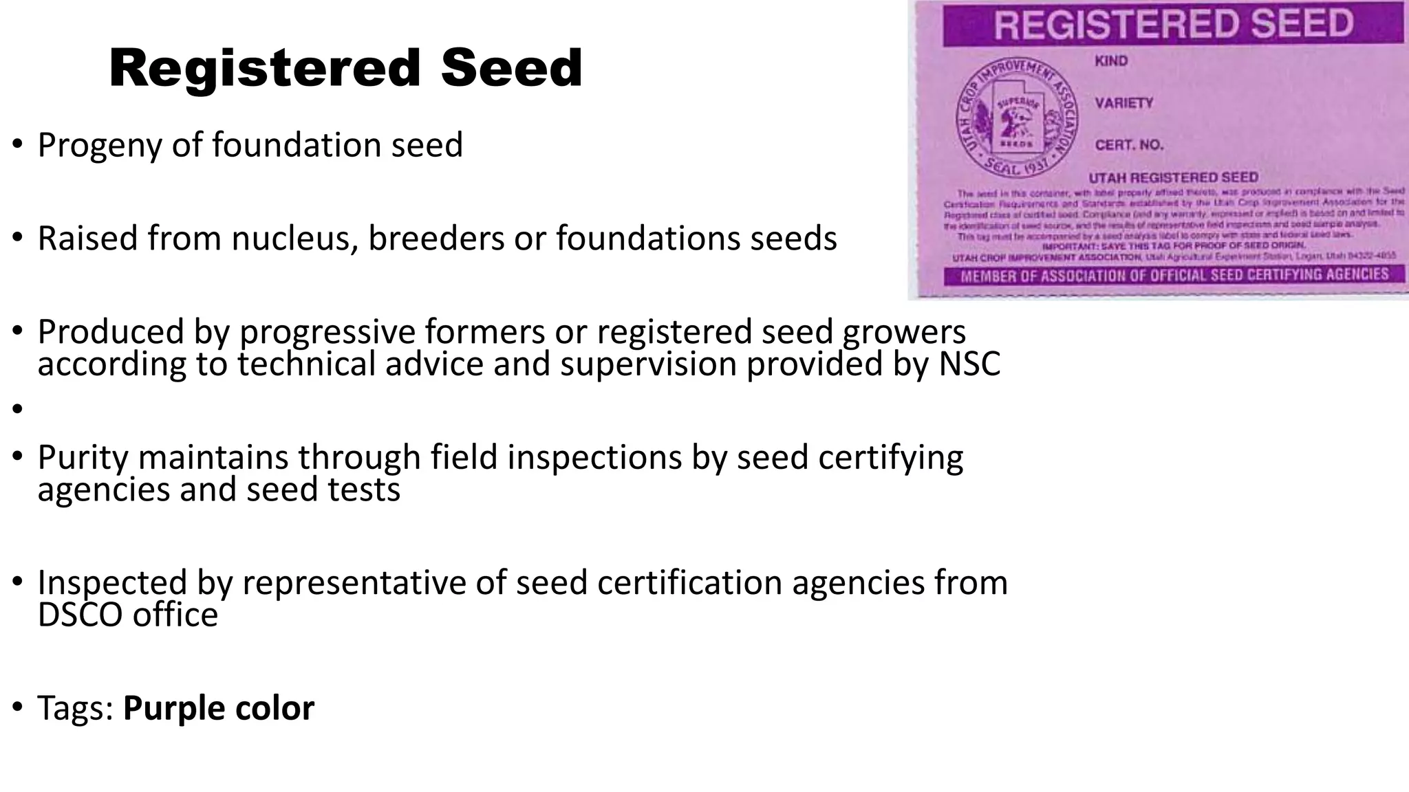 Seed classes veg seed prod | PPTX