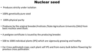 Seed classes veg seed prod | PPTX