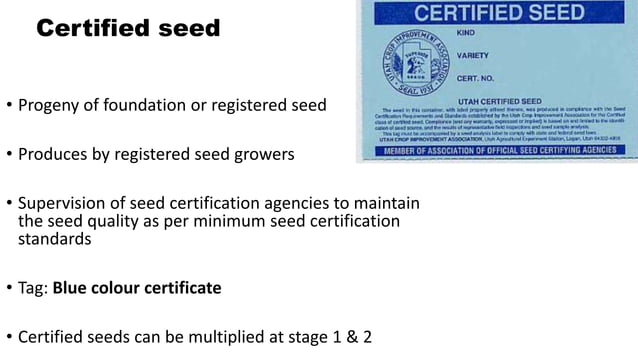 Seed classes veg seed prod | PPTX | Gardening | Home & Garden
