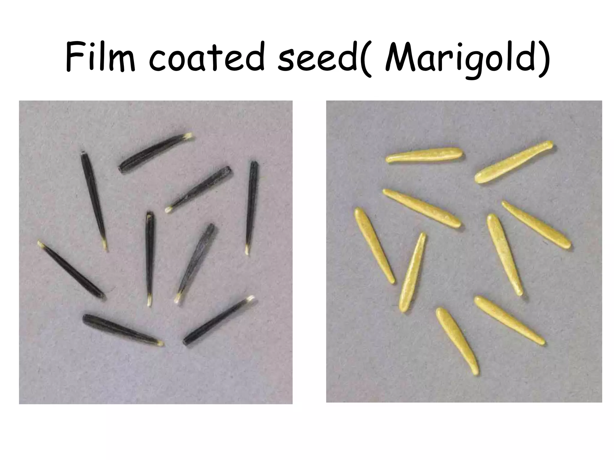 Seed coating a tool for quality seed production | PPTX
