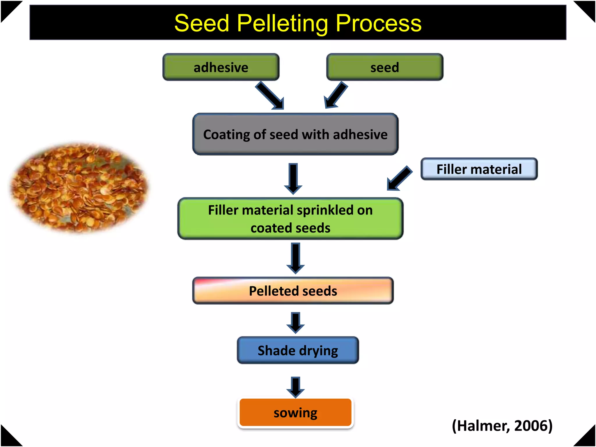 Seed coating a tool for quality seed production | PPTX