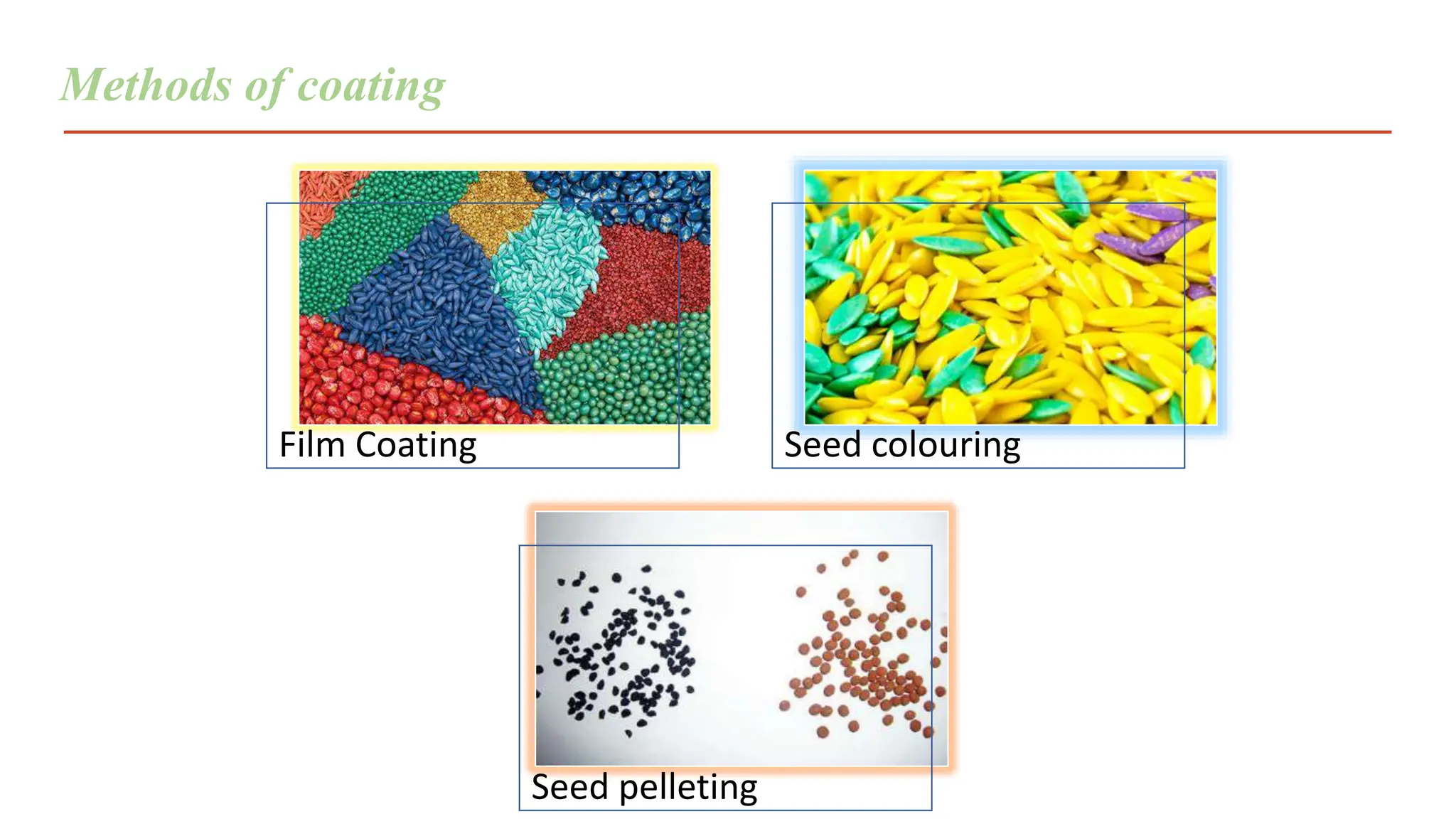 Seed Coating methods in vegetable crops .pptx