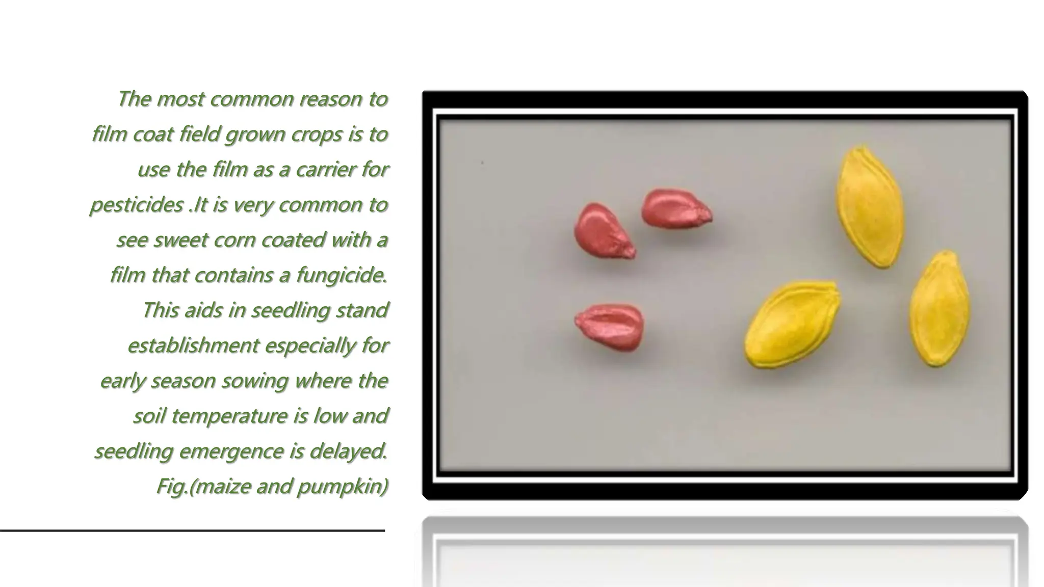 Seed Coating methods in vegetable crops .pptx
