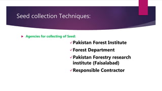 Seed collection and preservation | PPTX