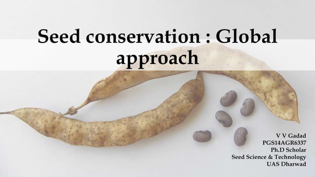 Seed Conservation A Global Approach