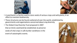 Seed conservation - A global approach | PPT