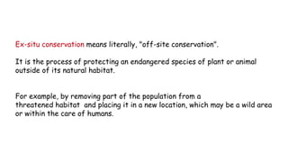 Seed conservation - A global approach | PPTX