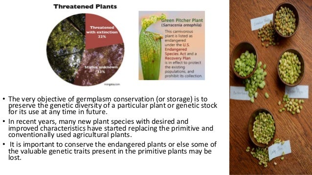 Seed Conservation A Global Approach