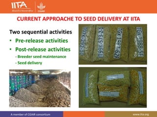 Delivery of Improved varieties/hybrids to farmers | PPTX