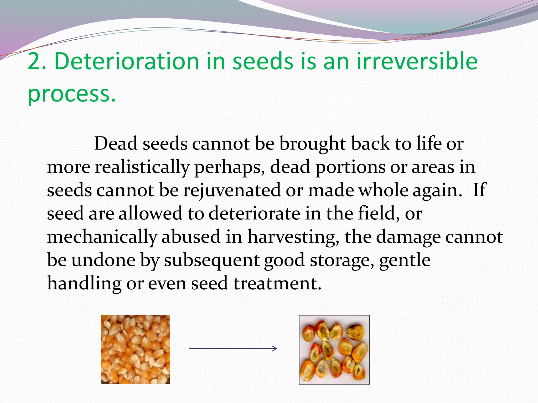 Seed deterioration | PPTX | Gardening | Home & Garden