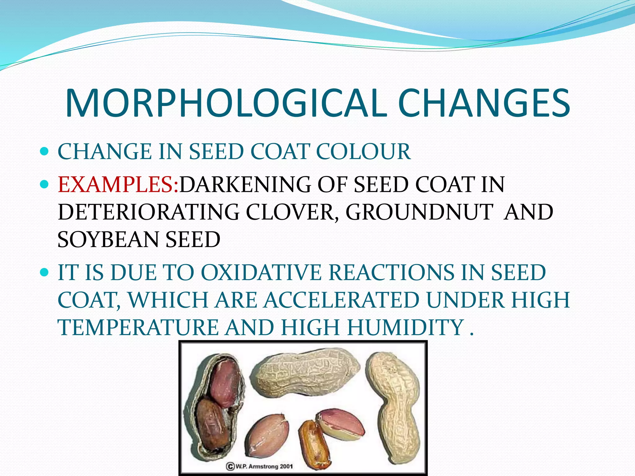 Seed deterioration | PPTX