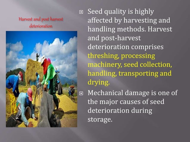 Seed deterioration | PPTX | Gardening | Home & Garden