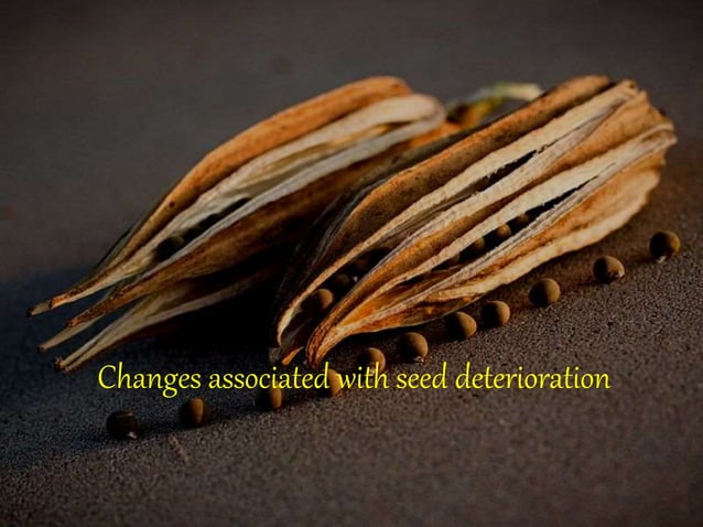 Seed deterioration | PPTX | Gardening | Home & Garden