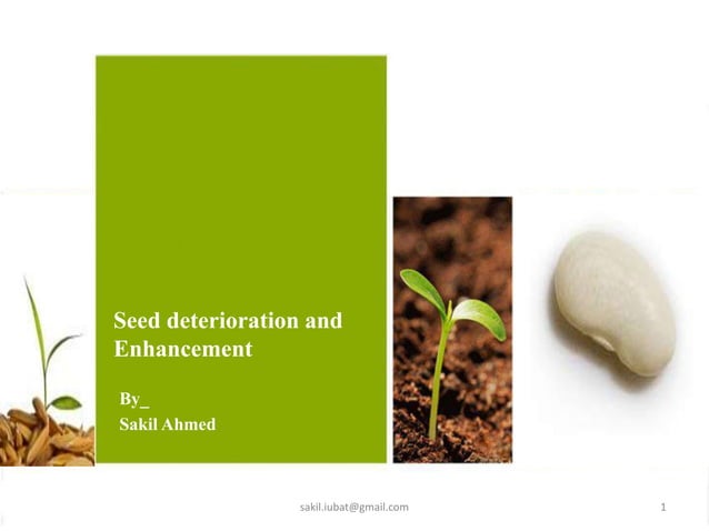 Seed Deterioration And Enhancement Pptx Agriculture Industries