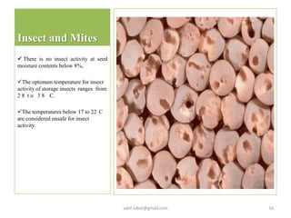 Seed deterioration and enhancement | PPTX