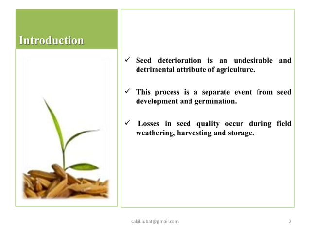 Seed Deterioration And Enhancement Pptx Agriculture Industries