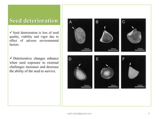Seed deterioration and enhancement | PPTX