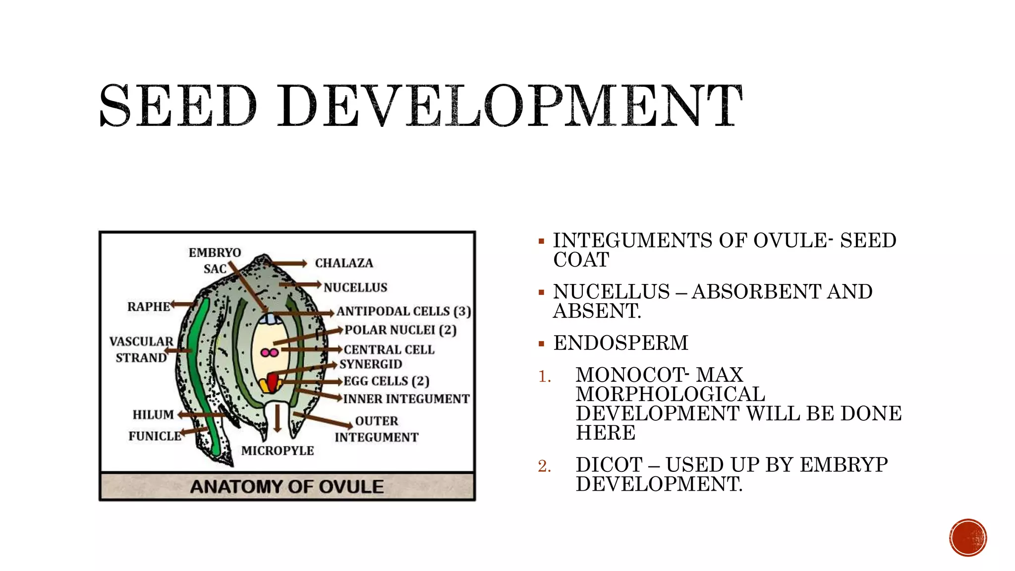 Seed development | PPTX