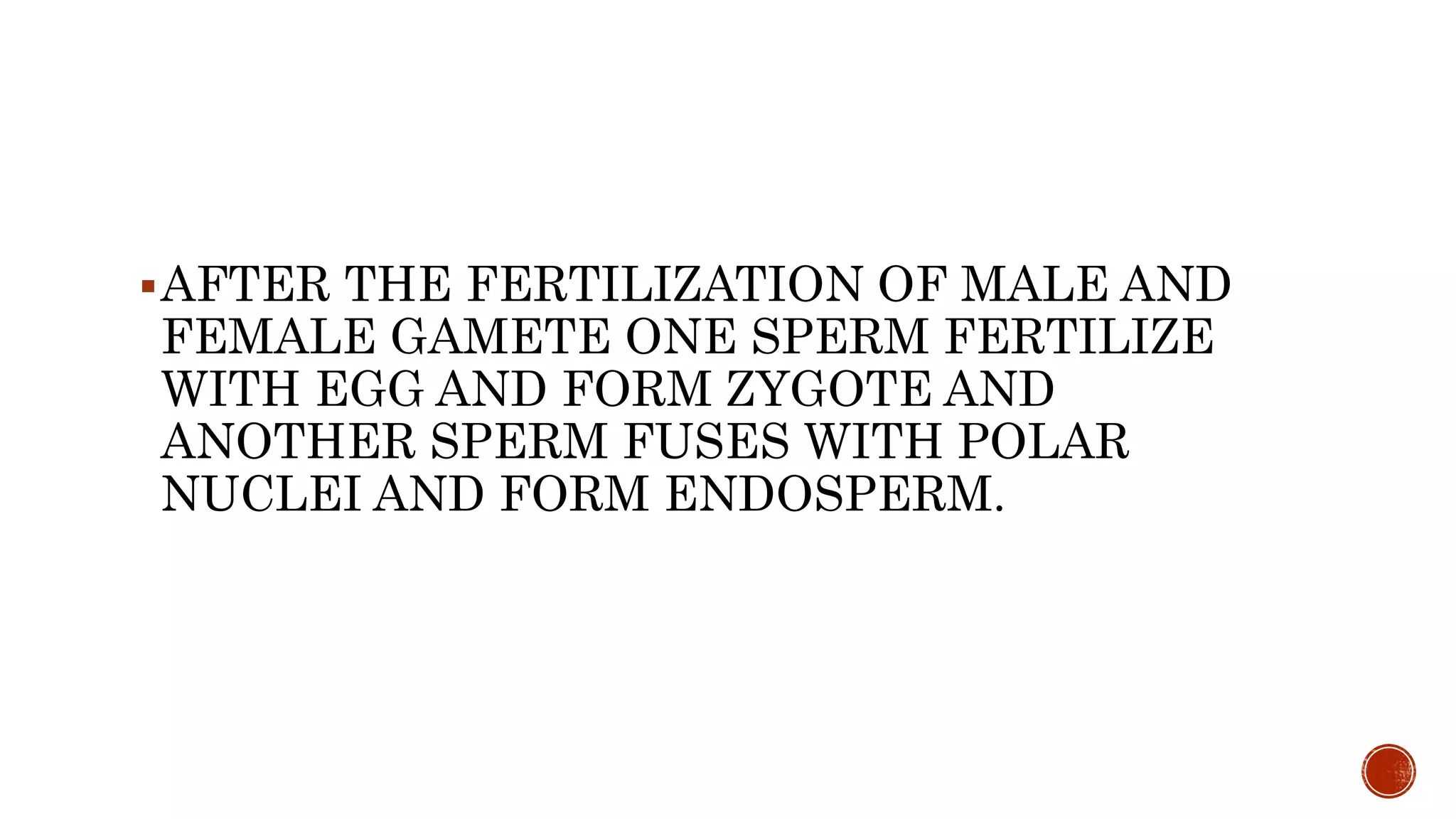 Seed development | PPTX