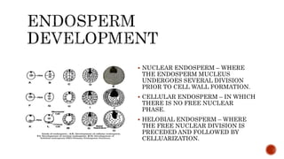 Seed development | PPTX