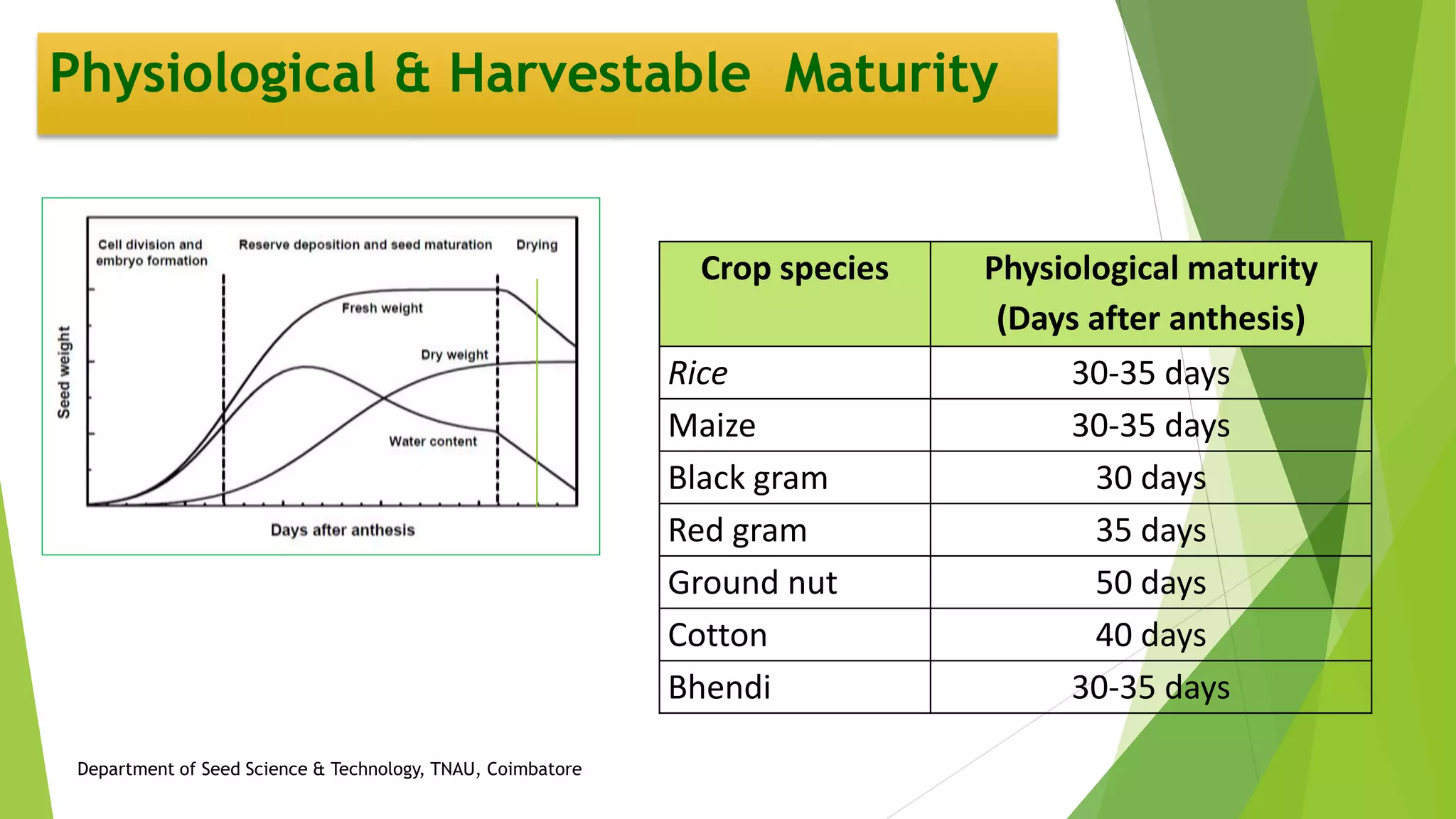 Seed development and maturation | PPTX