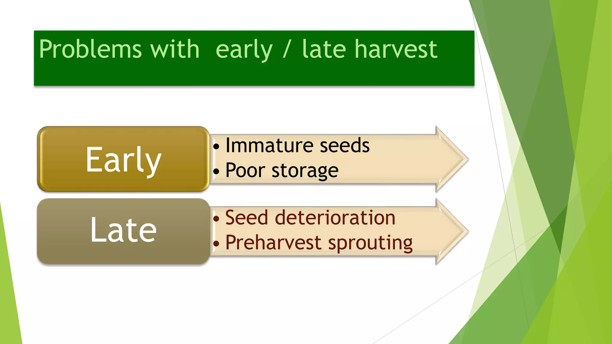 Seed development and maturation | PPTX
