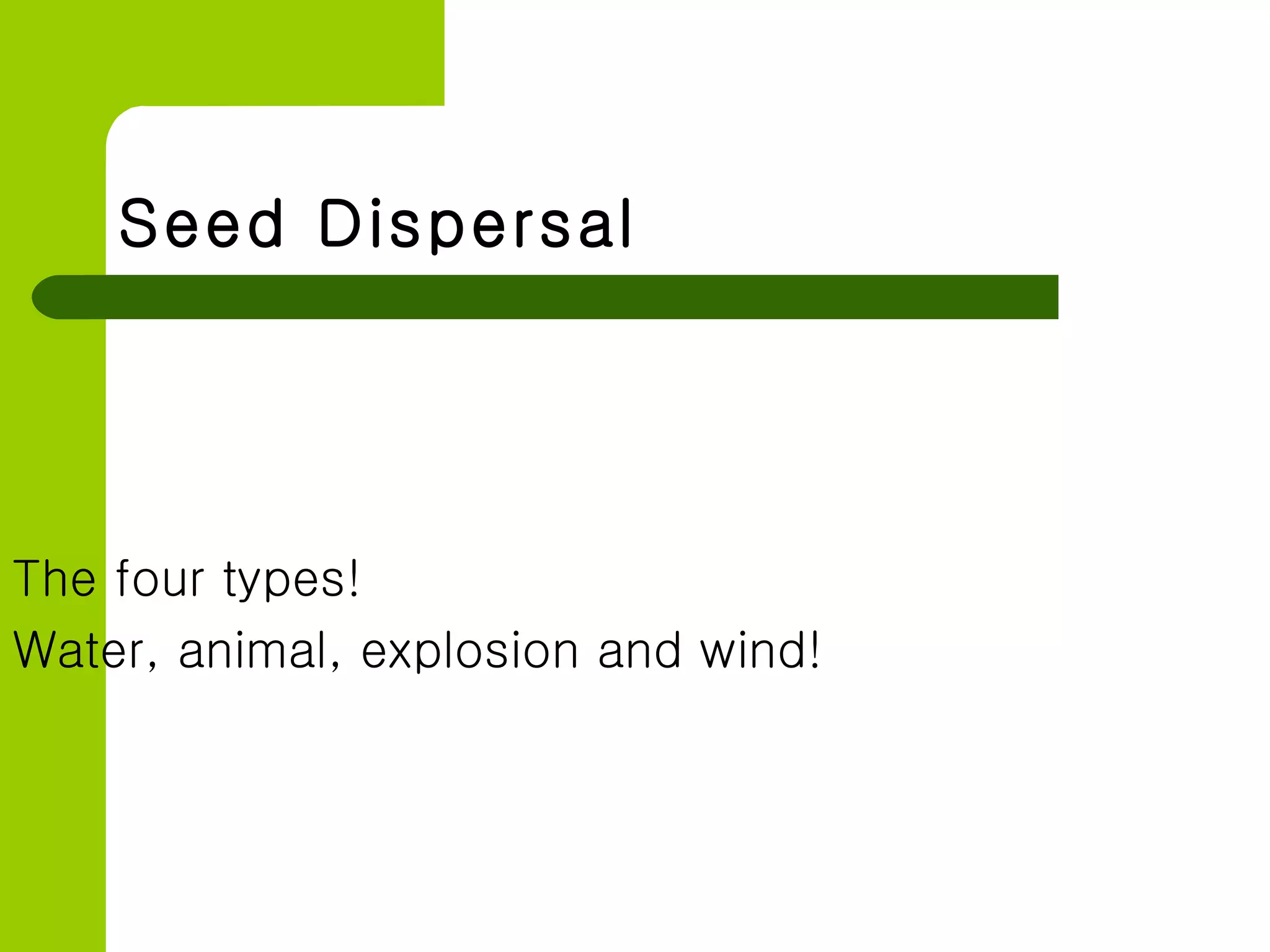 Seed Dispersal | PPT