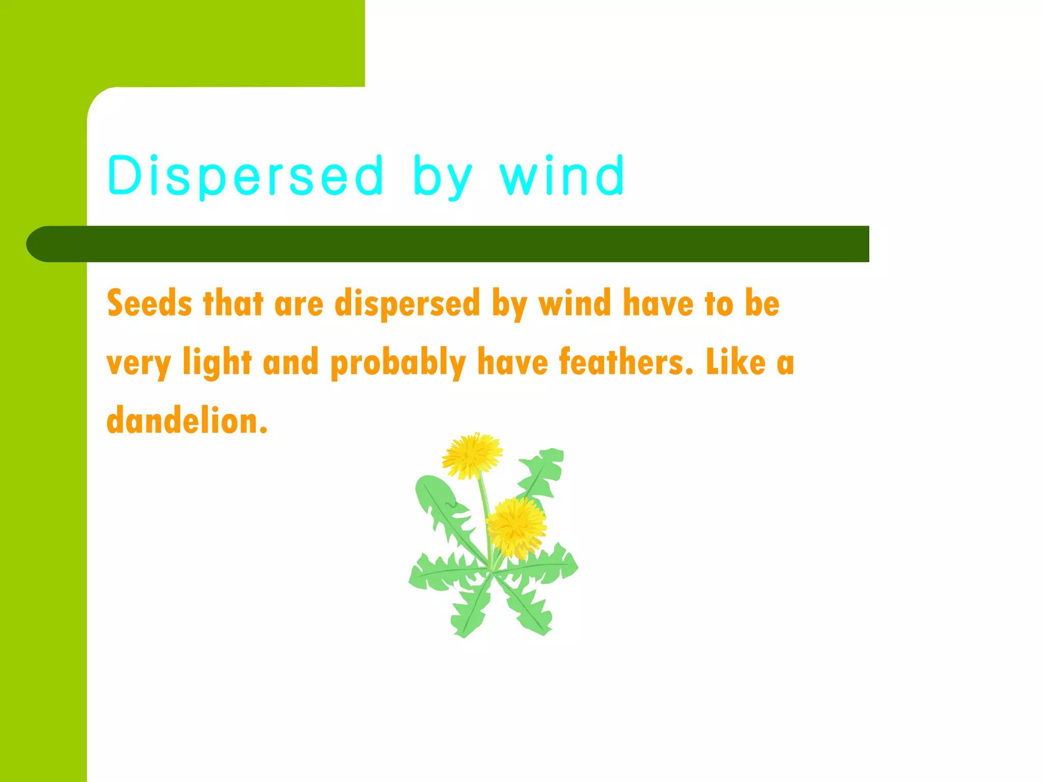 Seed Dispersal | PPT | Gardening | Home & Garden