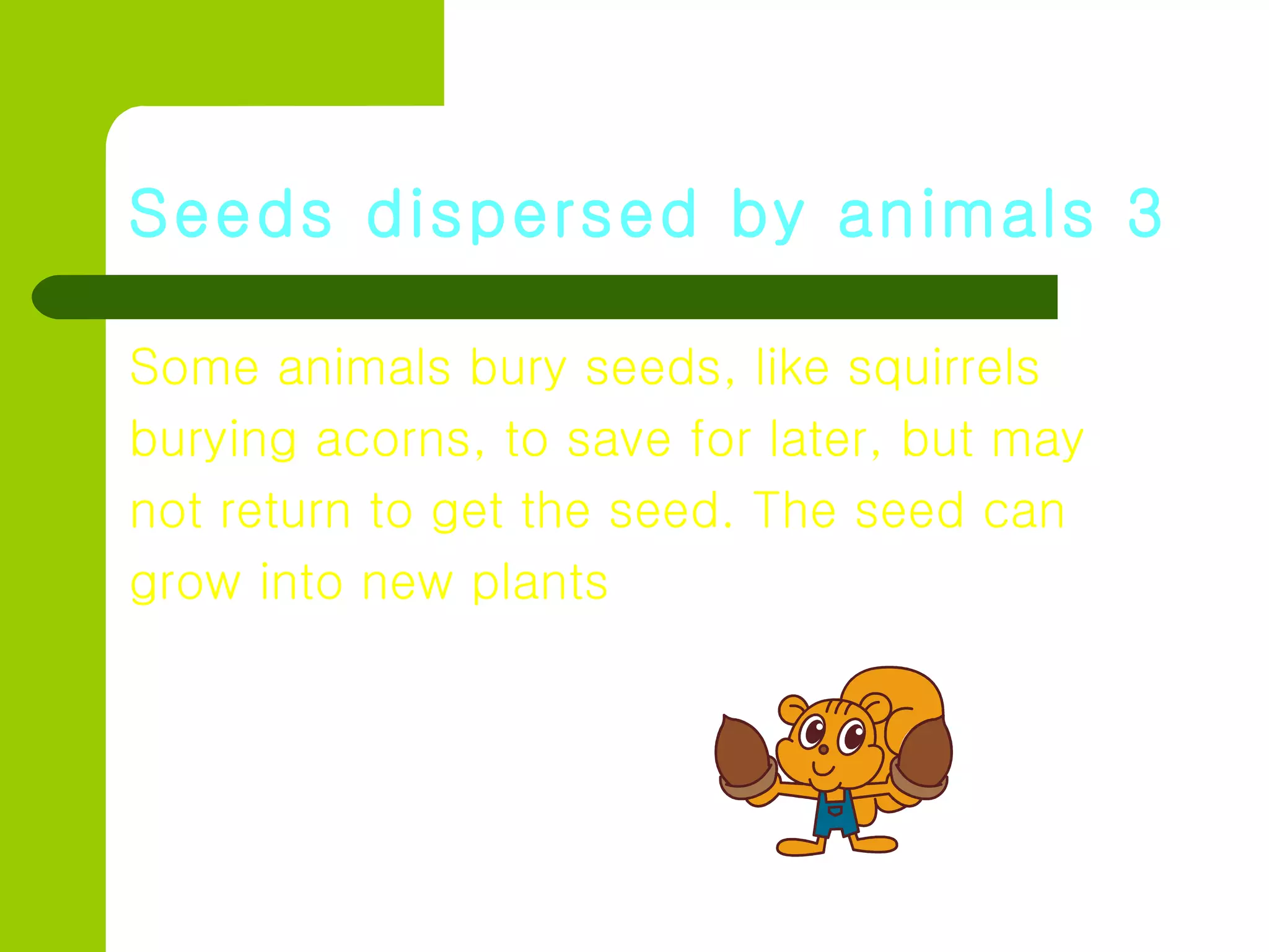 Seed Dispersal | PPT | Gardening | Home & Garden