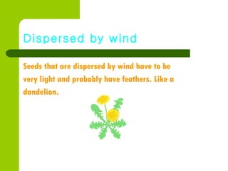 Seed Dispersal | PPT