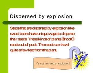 Seed Dispersal | PPT | Gardening | Home & Garden