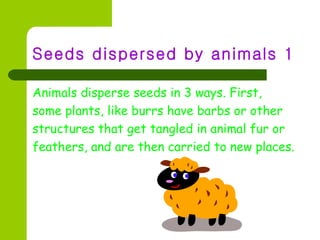 Seed Dispersal | PPT | Gardening | Home & Garden
