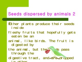 Seed Dispersal | PPT | Gardening | Home & Garden