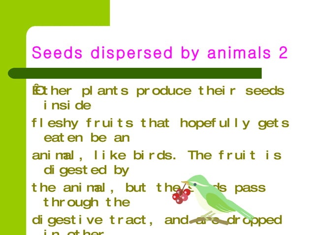 Seed Dispersal | PPT | Gardening | Home & Garden