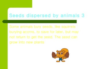 Seed Dispersal | PPT | Gardening | Home & Garden