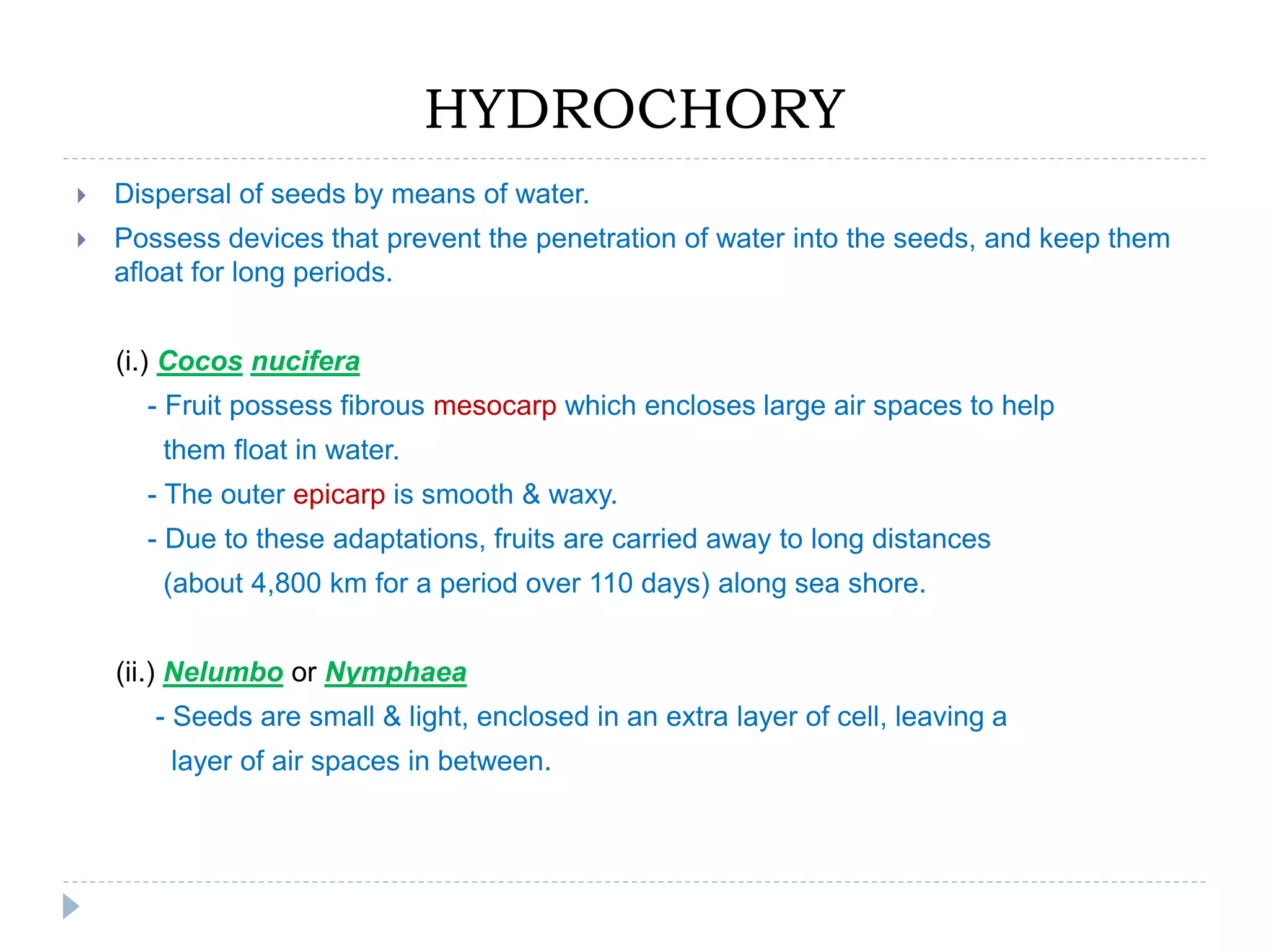 Seed Dispersal (Reproductive Biology of Angiosperms) | PPTX