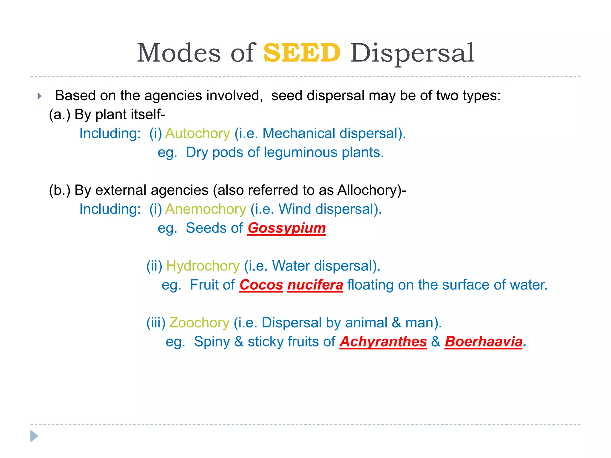 Seed Dispersal (Reproductive Biology of Angiosperms) | PPTX