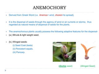 Seed Dispersal (Reproductive Biology of Angiosperms) | PPTX