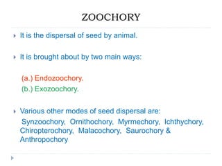 Seed Dispersal (Reproductive Biology of Angiosperms) | PPTX