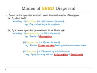 Seed Dispersal (Reproductive Biology of Angiosperms) | PPTX
