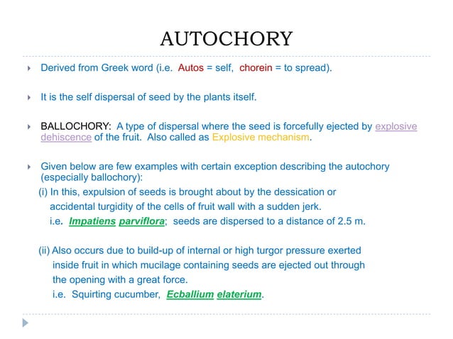 Seed Dispersal (Reproductive Biology of Angiosperms) | PPTX