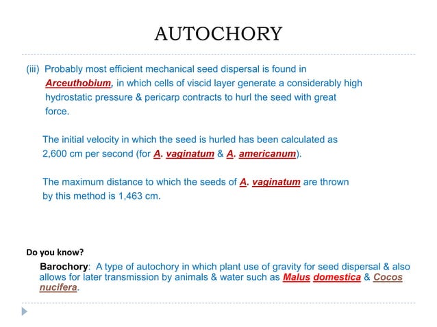 Seed Dispersal (Reproductive Biology of Angiosperms) | PPTX