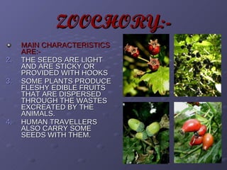 Seed Dispersal | PPT