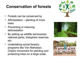 seeddispersal-130926094456-phpajpp02.pdf