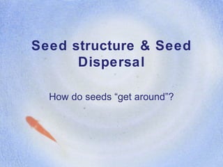 Seed dispersal | PPT