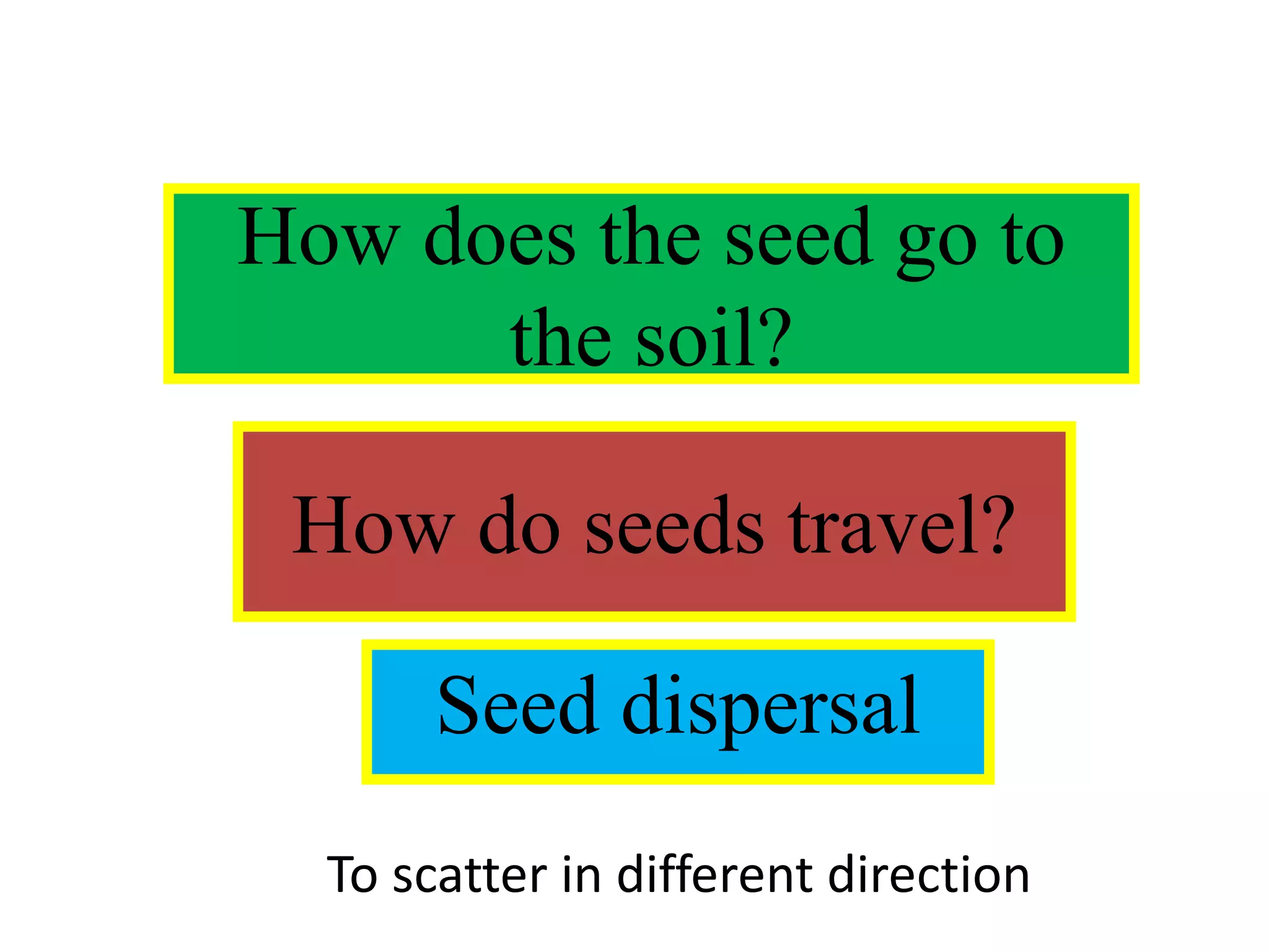 Seed dispersal | PPTX